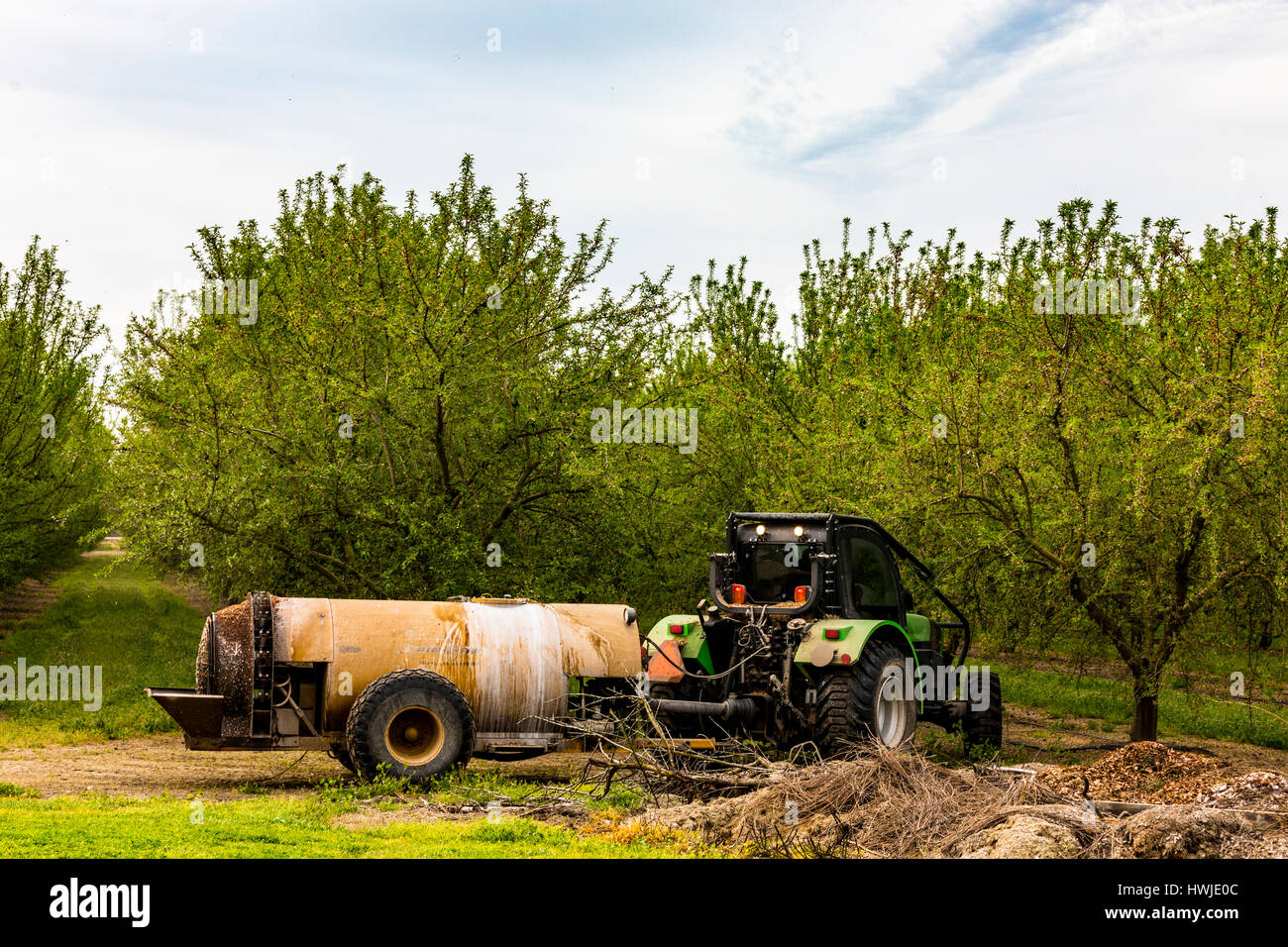 orchard, pollinate, pollinator, new, growth, tractor, spray, sprayer ...