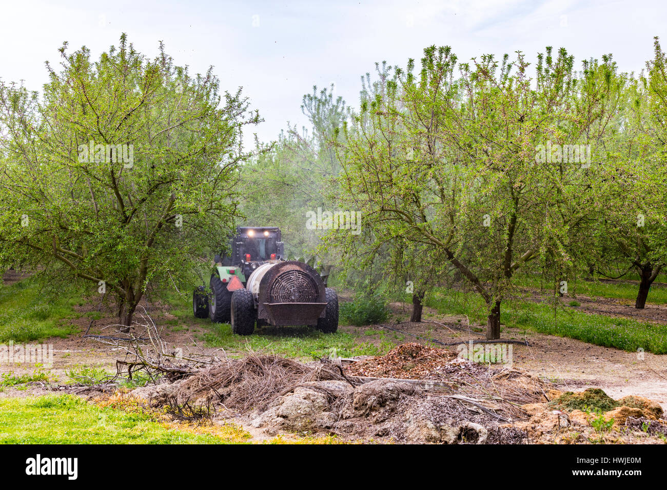 orchard, pollinate, pollinator, new, growth, tractor, spray, sprayer ...