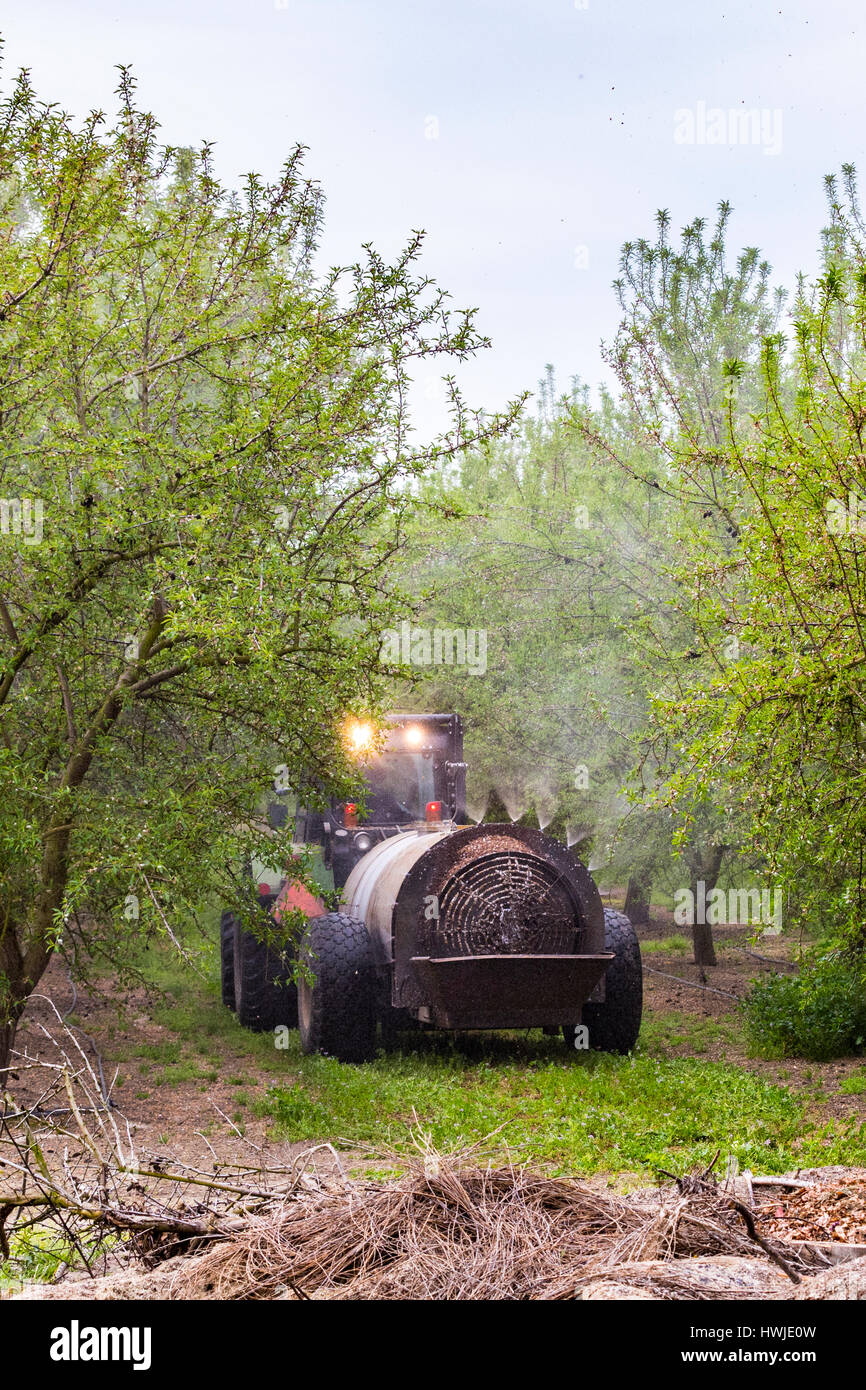 orchard, pollinate, pollinator, new, growth, tractor, spray, sprayer ...