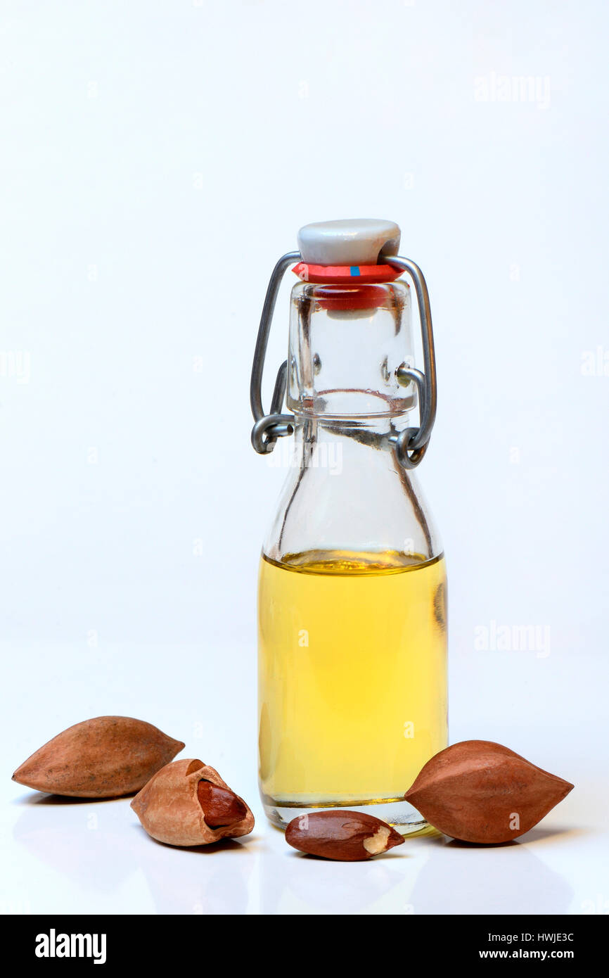 Pili nut hi-res stock photography and images - Alamy
