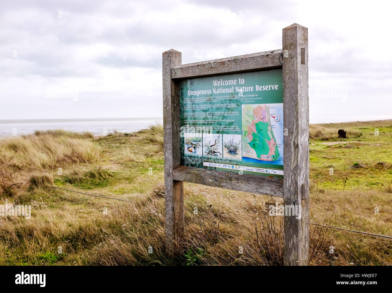 Dungeness national nature research hi-res stock photography and images ...