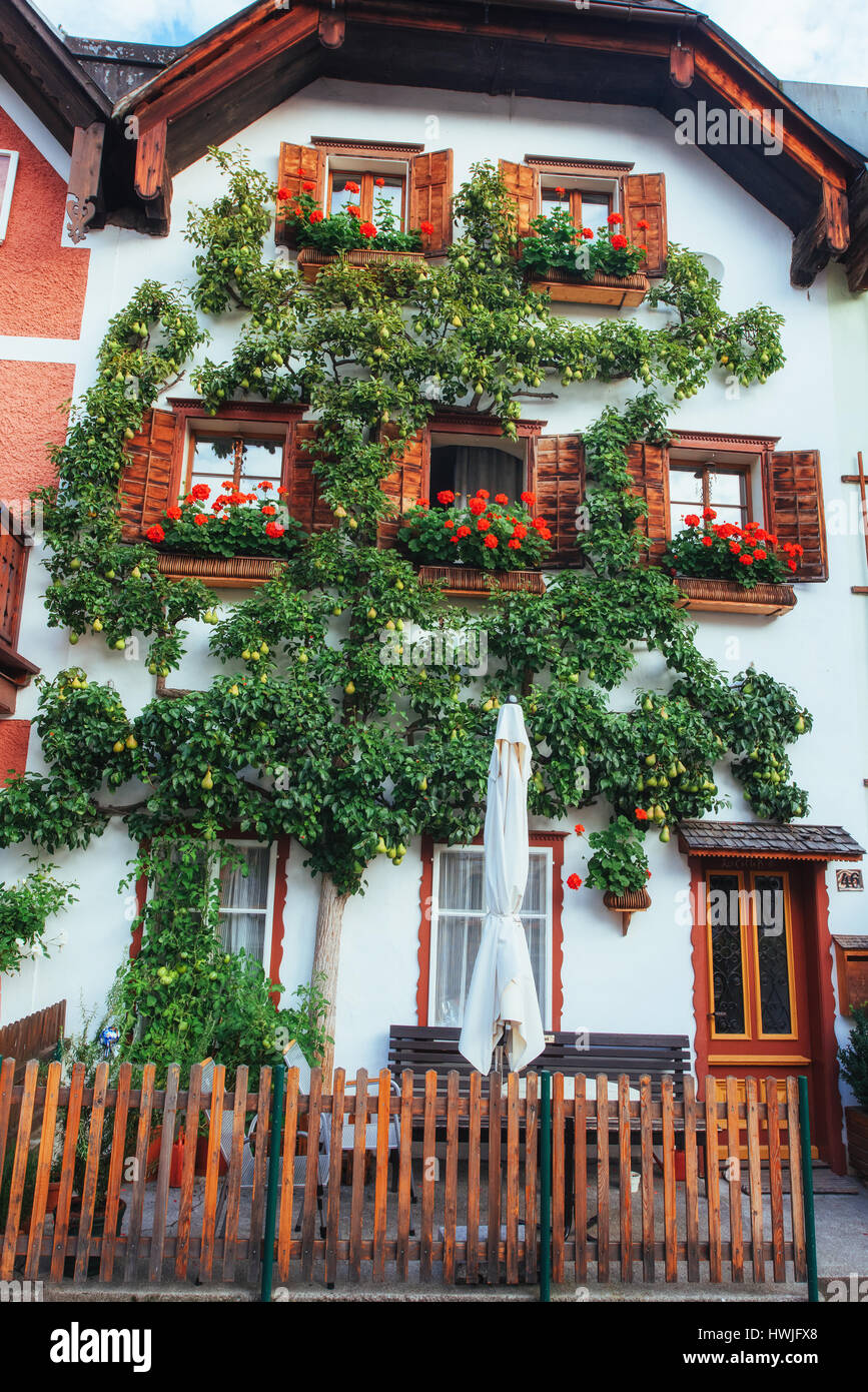 Scenic view. The historic area of the city Hallstatt with traditional ...
