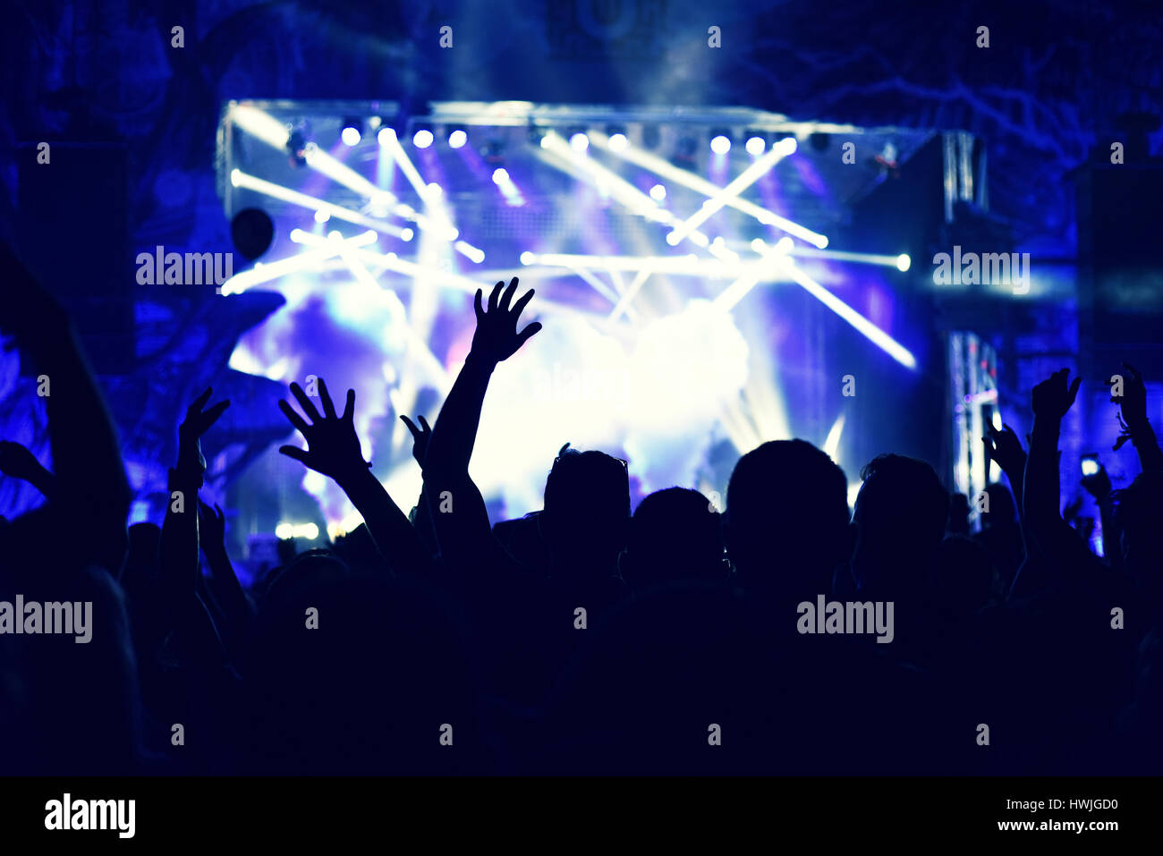 Crowd rocking during a concert with raised arms. Toned image Stock ...