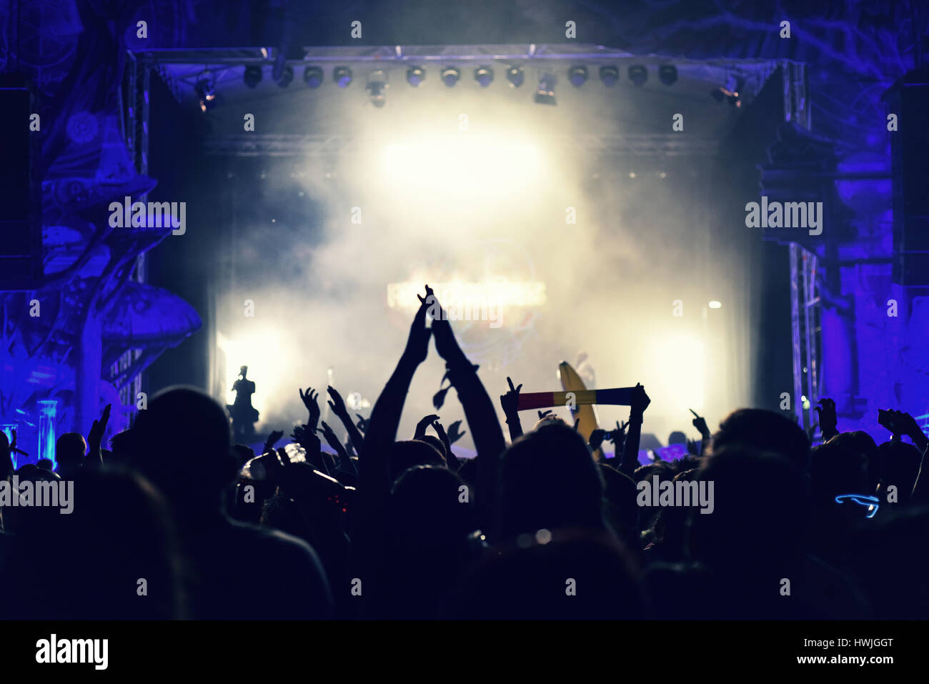 Crowd rocking during a concert with raised arms. Toned image Stock ...
