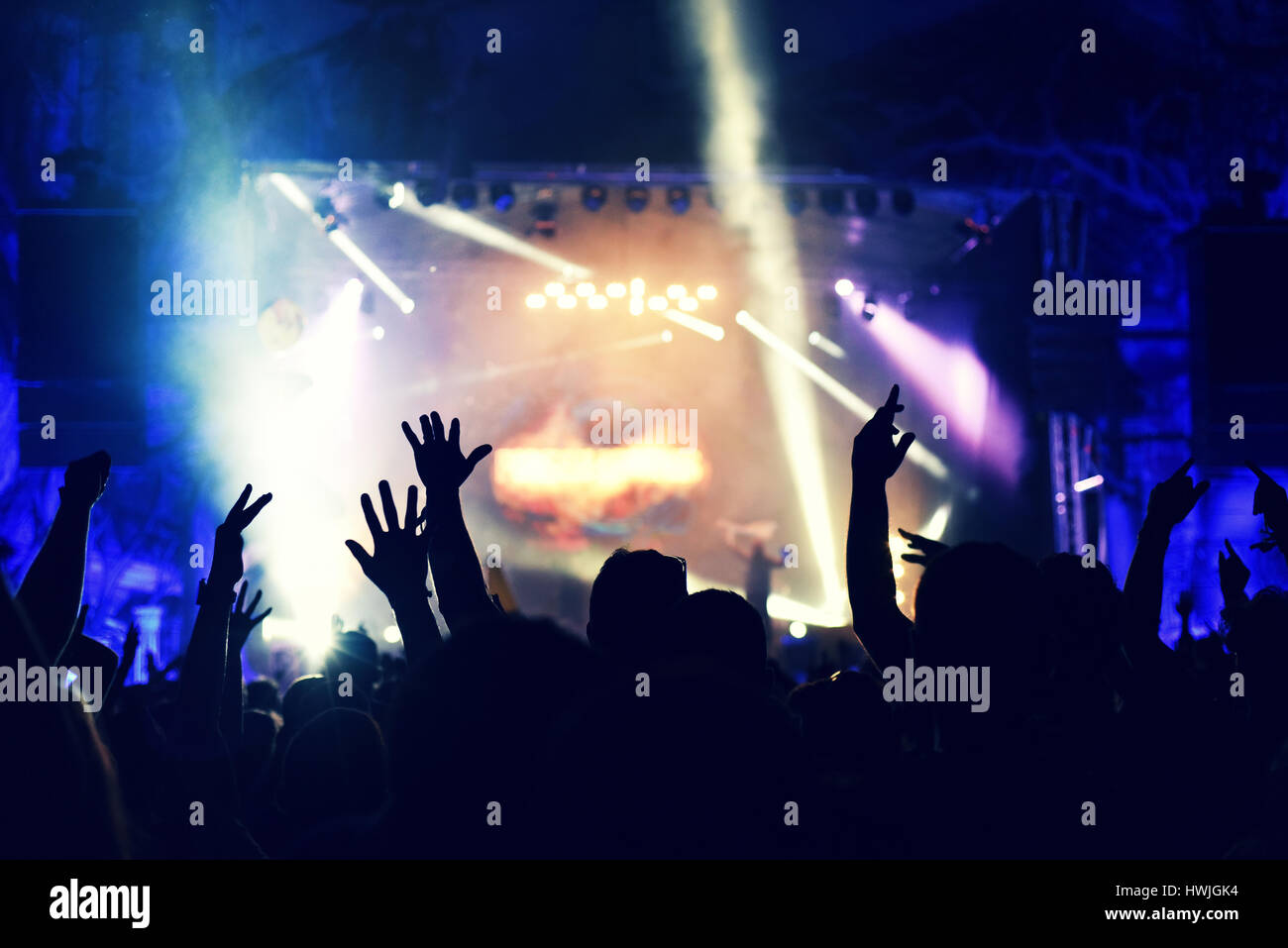 Crowd rocking during a concert with raised arms. Toned image Stock ...