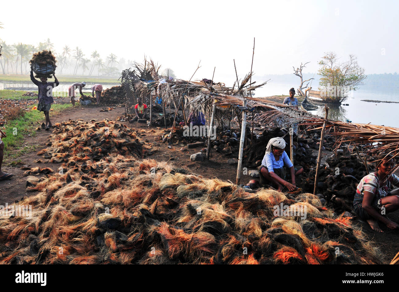 Coconut husk retting hi-res stock photography and images - Alamy