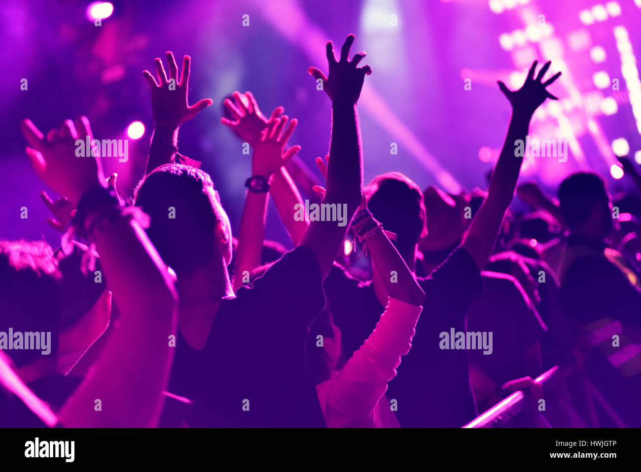 Crowd rocking during a concert with raised arms. Toned image Stock ...