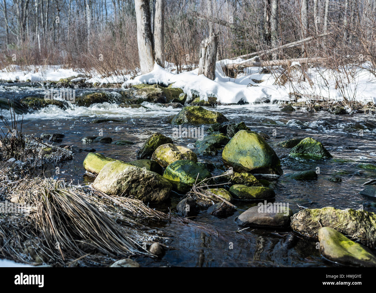 Log in stream Stock Photo - Alamy