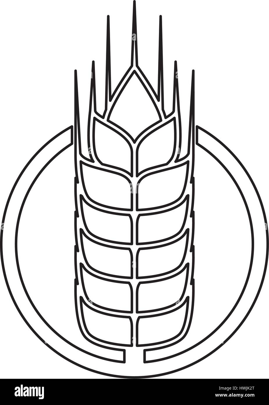 Brewing beer circle Stock Vector Images - Alamy