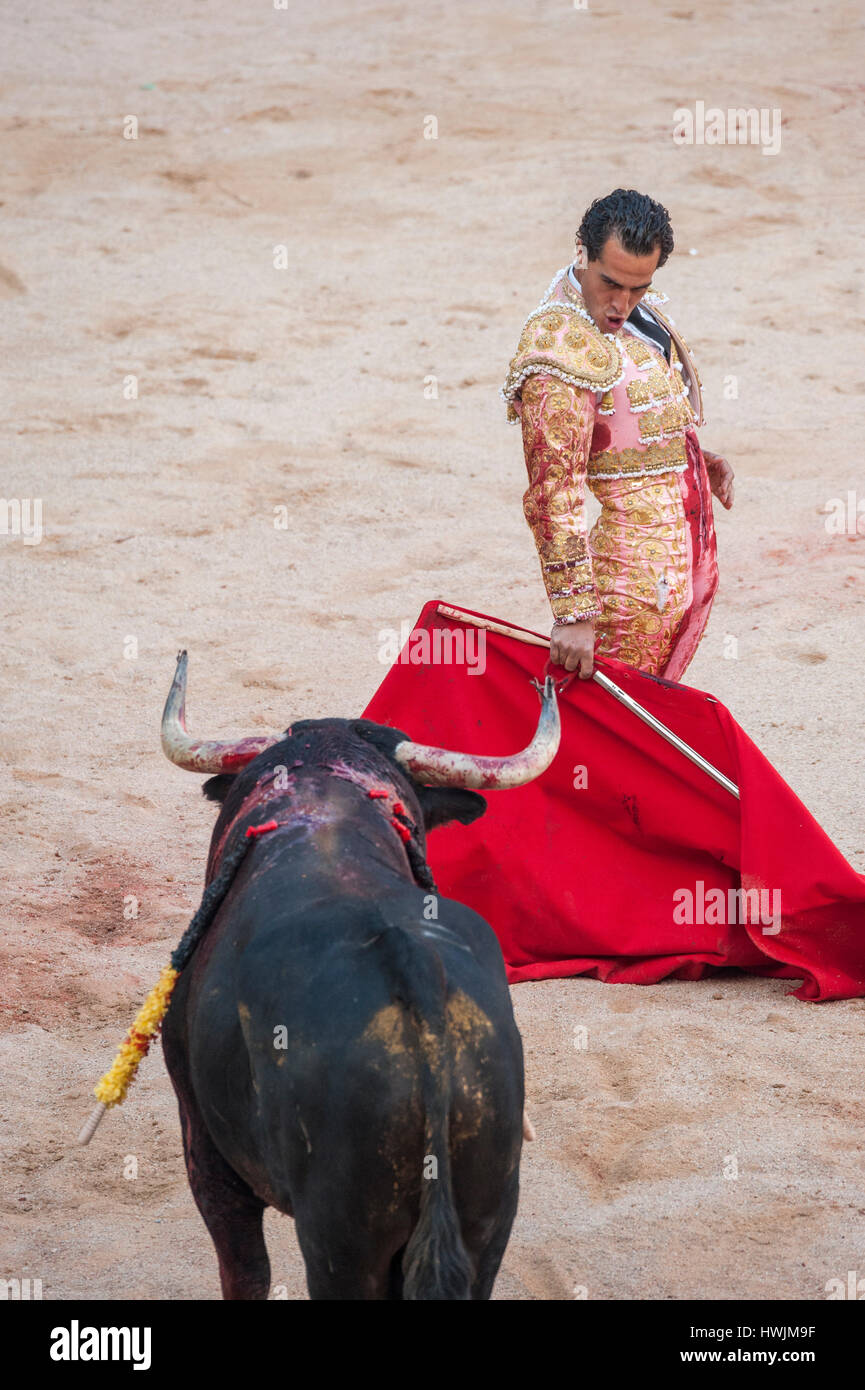 Bullfights, Festival of San Fermin, Pamplona, Spain, Europe Stock Photo ...