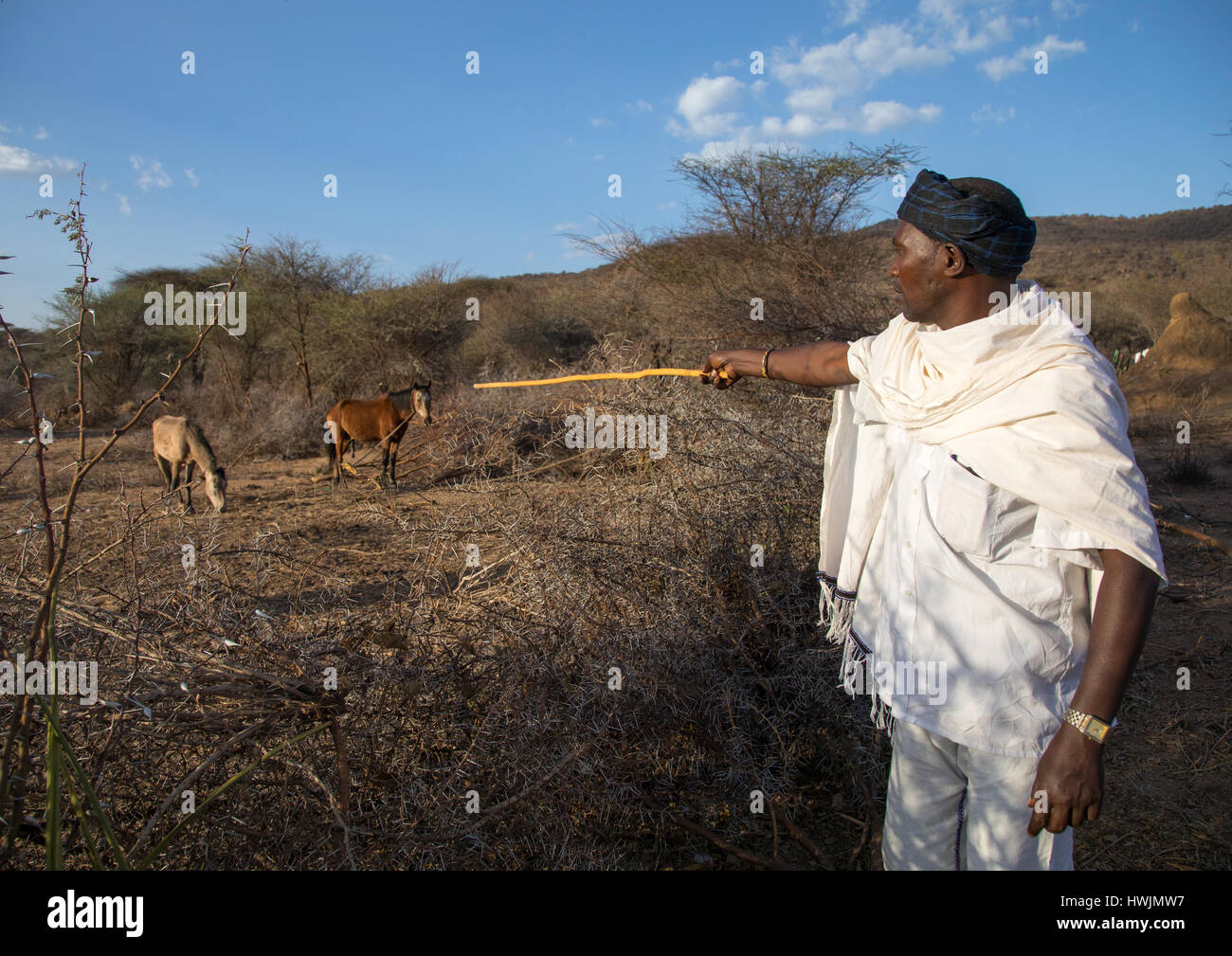Borana tribe man showing horses during the Gada system ceremony, Oromia ...