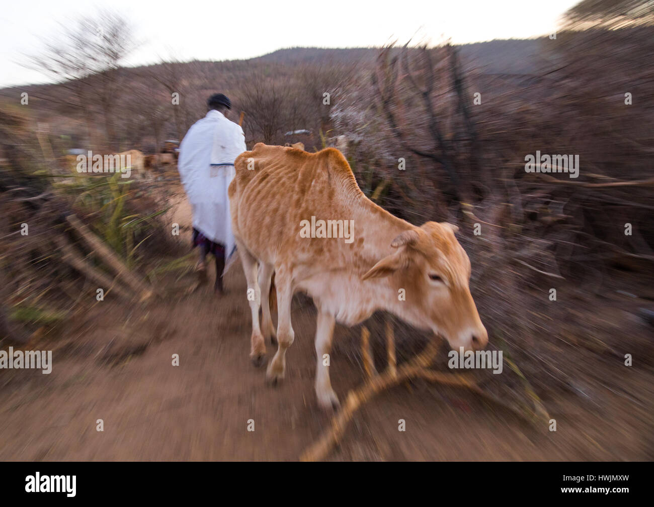 Gada System High Resolution Stock Photography and Images - Alamy