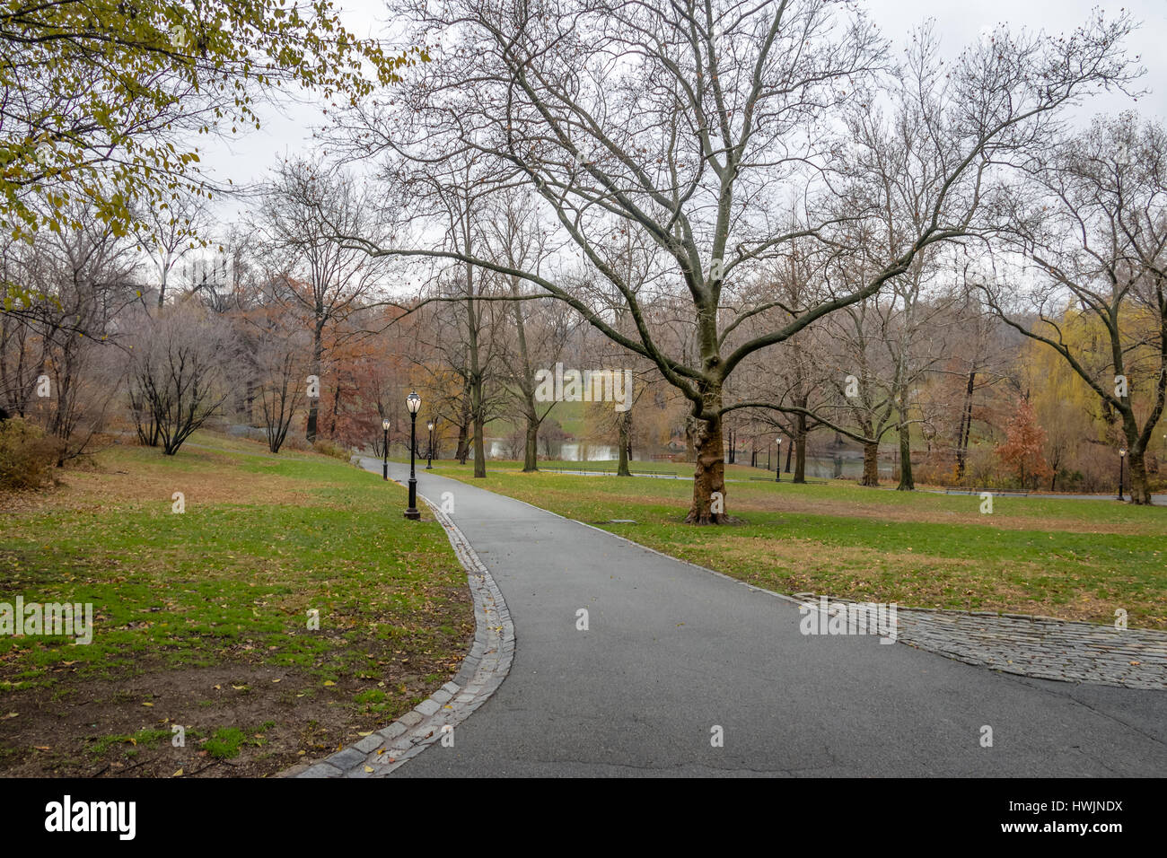 Autumn Path Walk Park