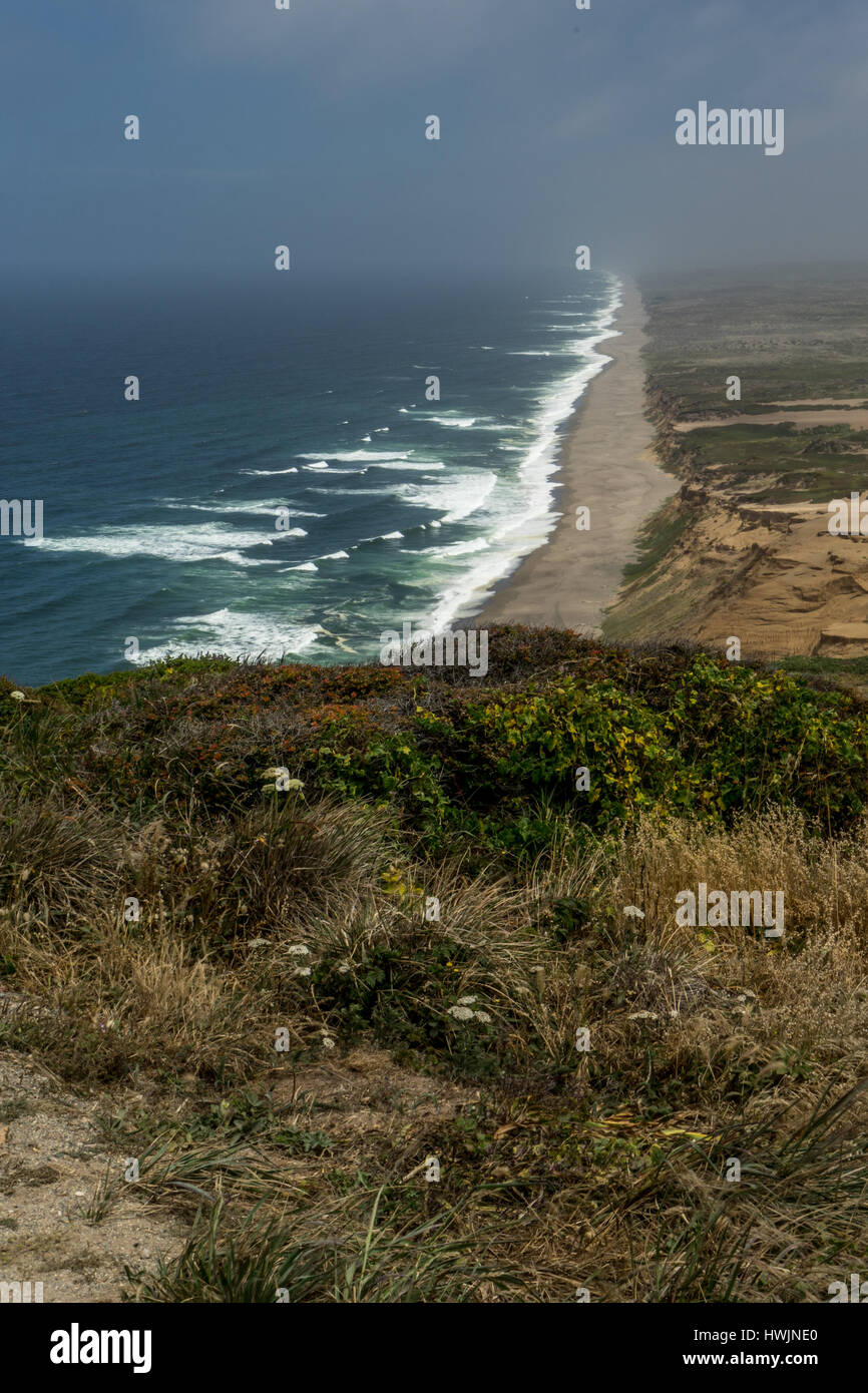 Beach strand and Pacific ocean at Point Reyes National Seashore ...