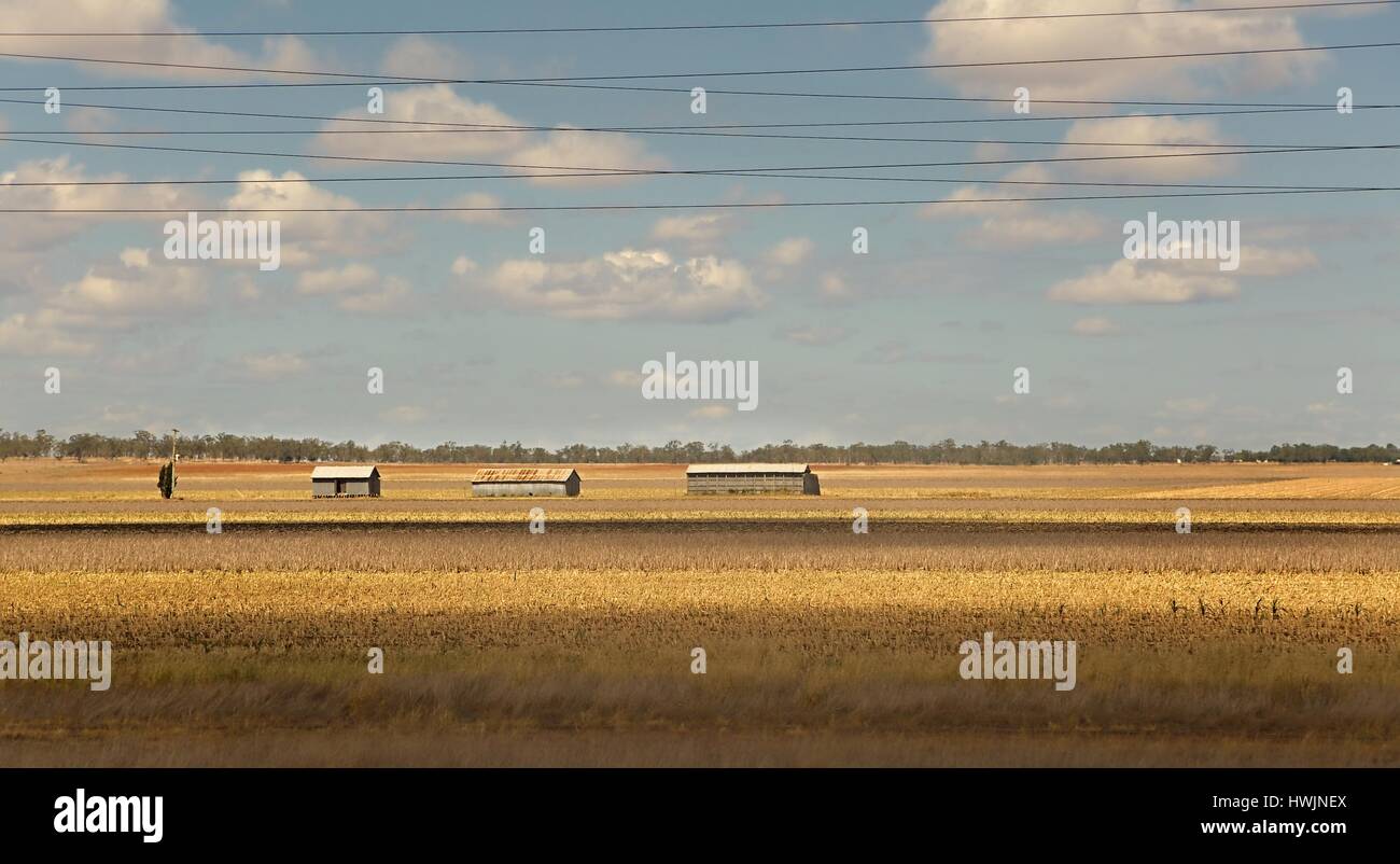 Fields of Australian agricultural landscape Stock Photo - Alamy