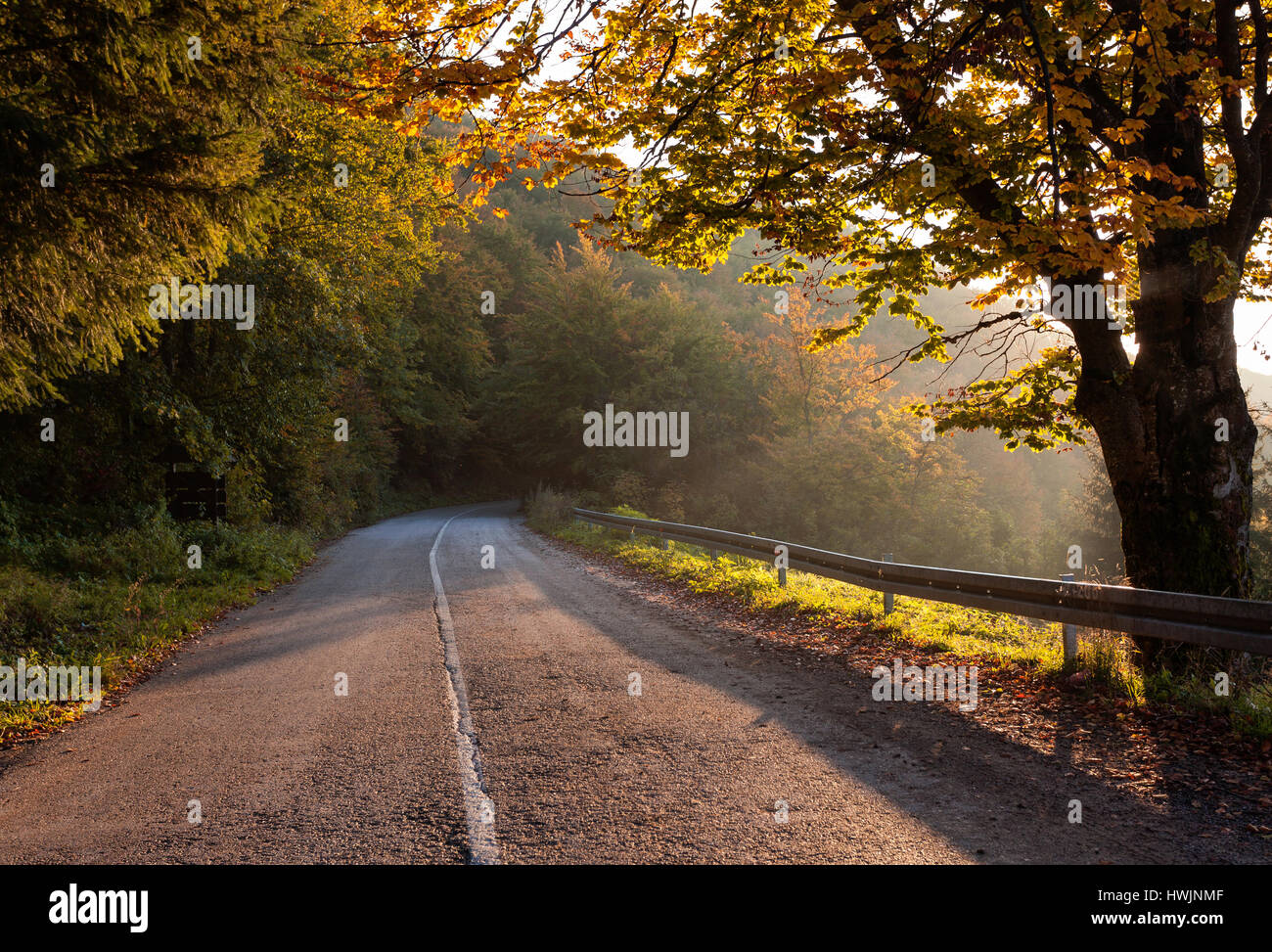 Beautiful empty autumn road hi-res stock photography and images - Alamy