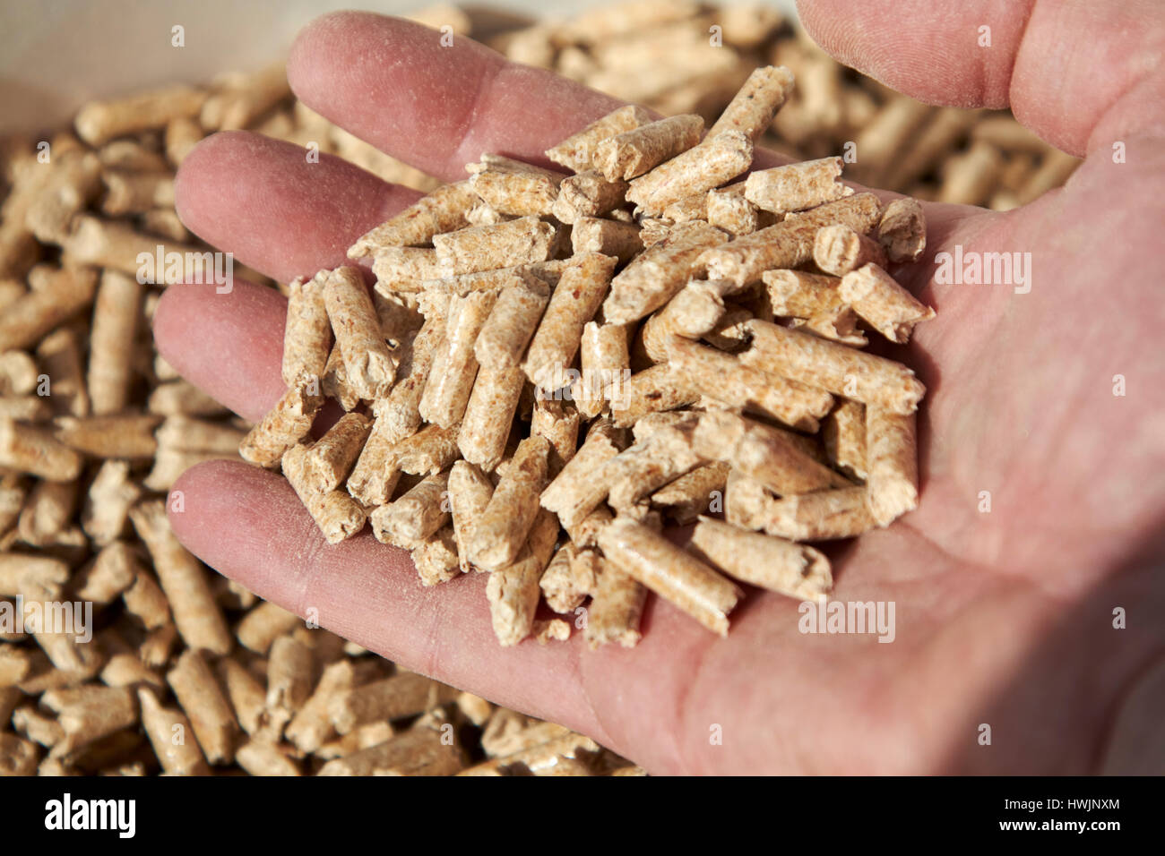 Biomass Pellet Pellets High Resolution Stock Photography and Images - Alamy