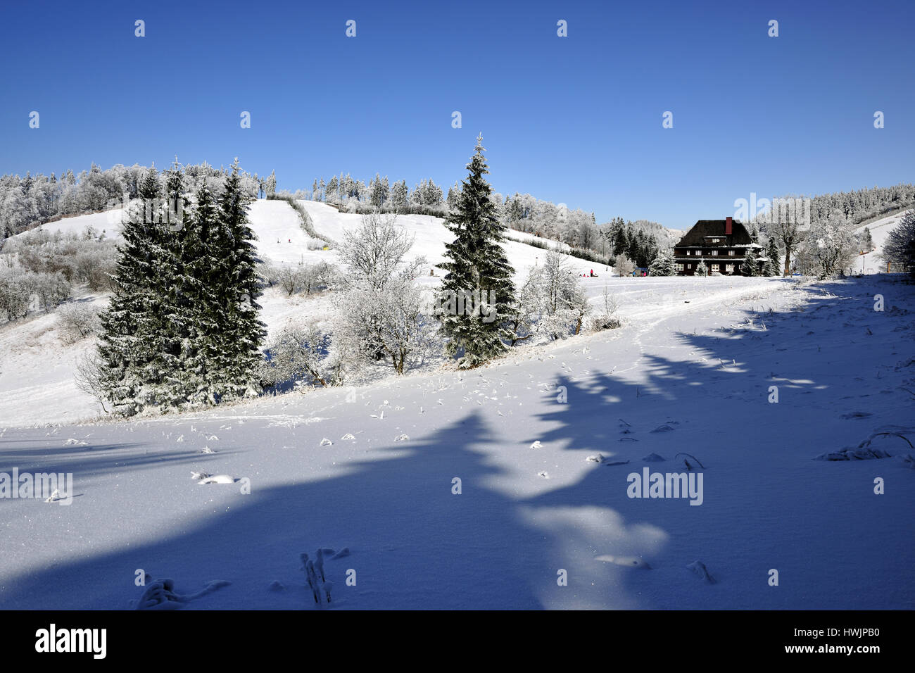 Andrzejowka, Dolny Slask, Polska, fantasy, magic, mist, misty, sun ...