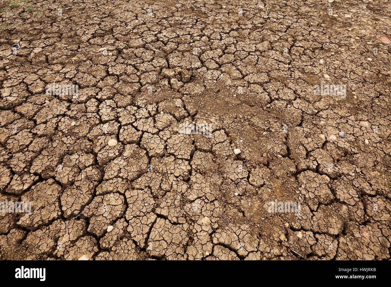 Dry Soil Texture Stock Photo - Alamy