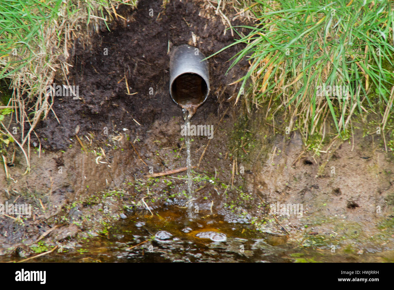 Subsurface drainage system in an agricultural field, water flowing into ...