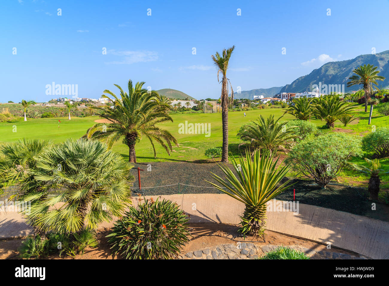 Tropical plants on a golf course in nothern part of Tenerife island ...