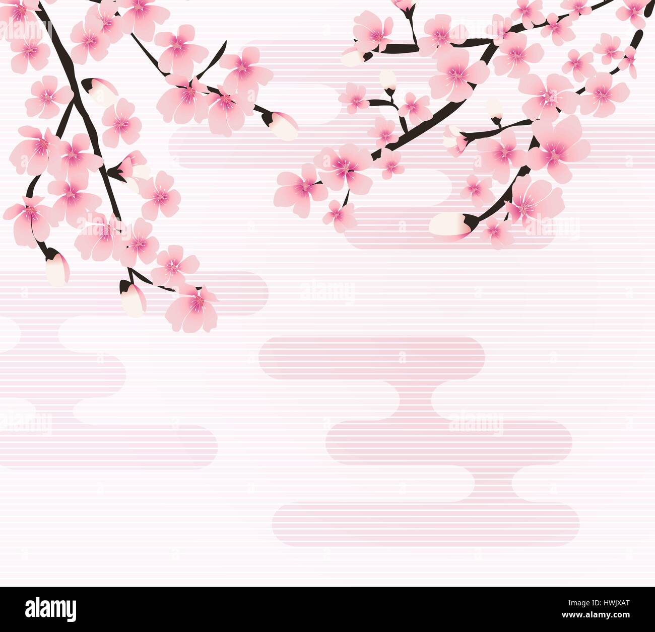 Abstract Floral Sakura Flower Japanese Natural Background Vector Stock ...