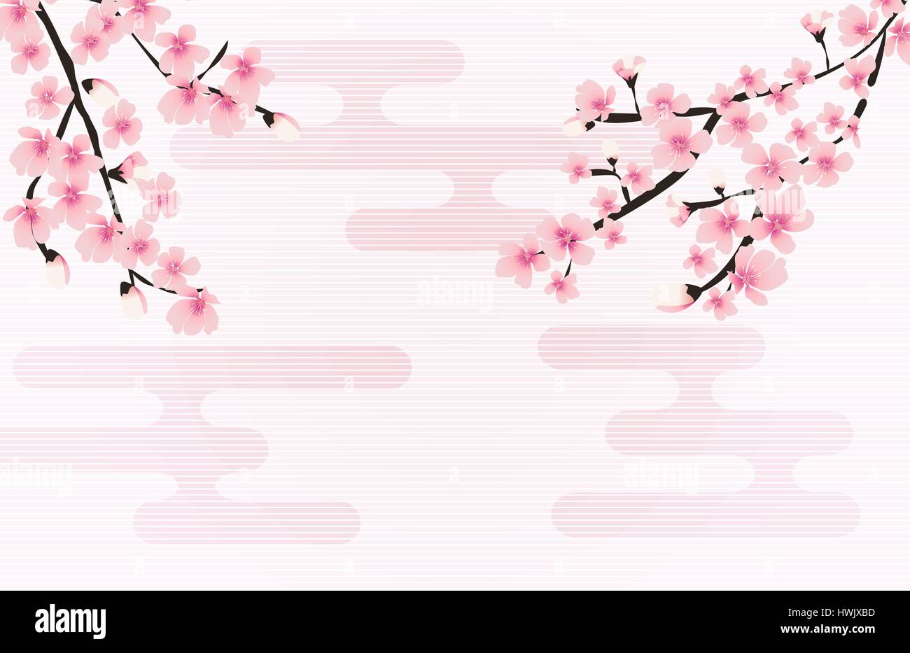 Abstract Floral Sakura Flower Japanese Natural Background Vector Stock ...