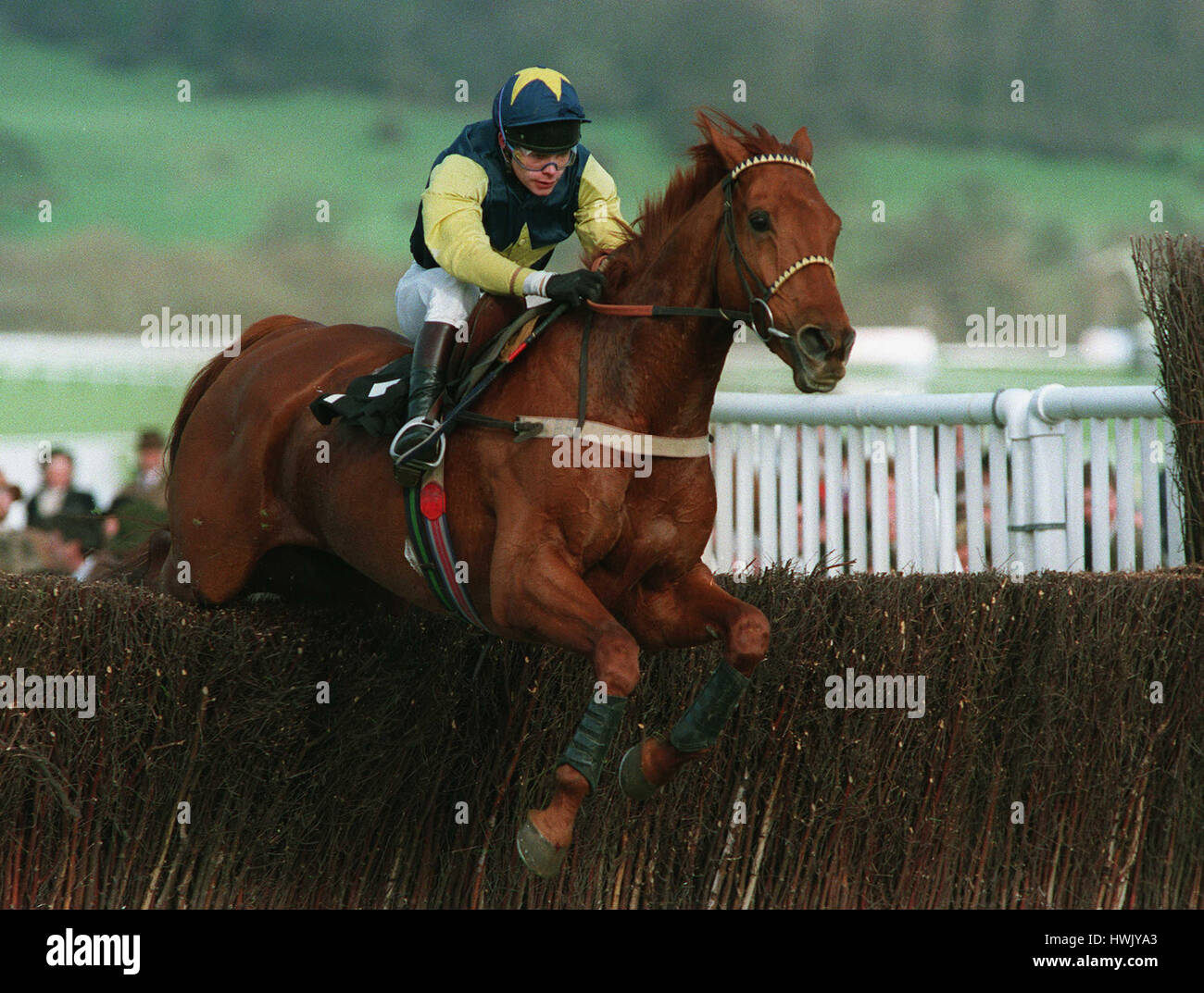 COOL GROUND RACEHORSE 28 March 1993 Stock Photo - Alamy