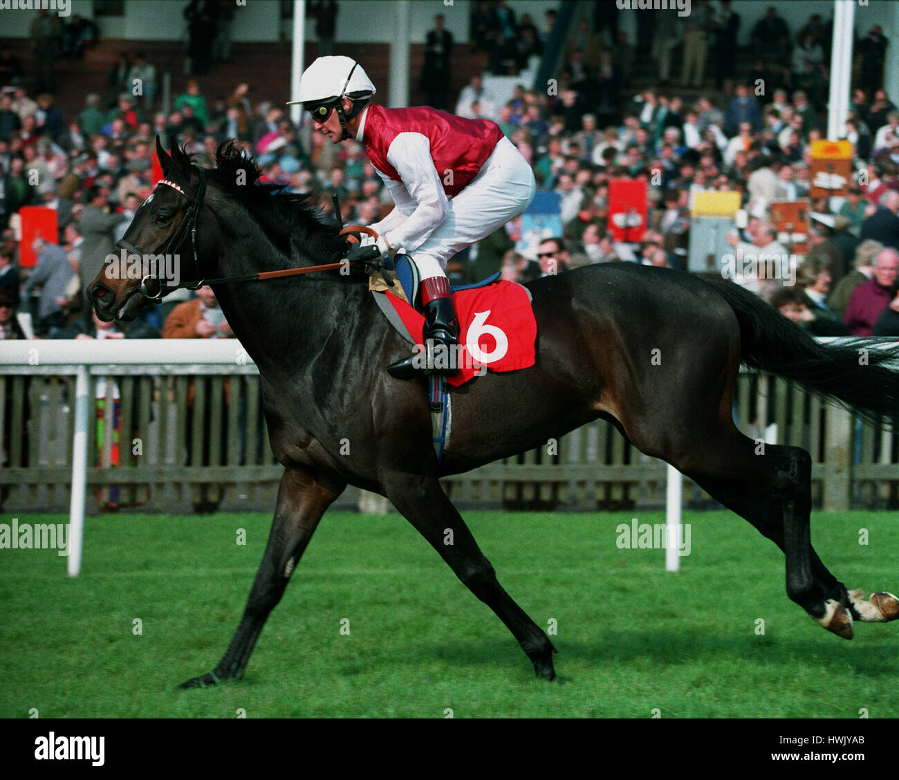 Ray jones hi-res stock photography and images - Alamy