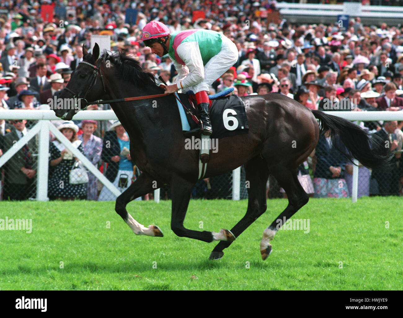ALLEGAN (PAT EDDERY) RACEHORSE 30 June 1993 Stock Photo - Alamy