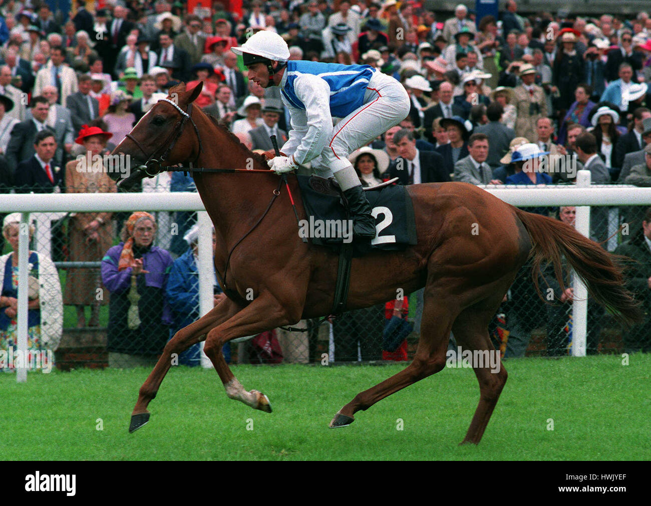 Gold splash racehorse hi-res stock photography and images - Alamy