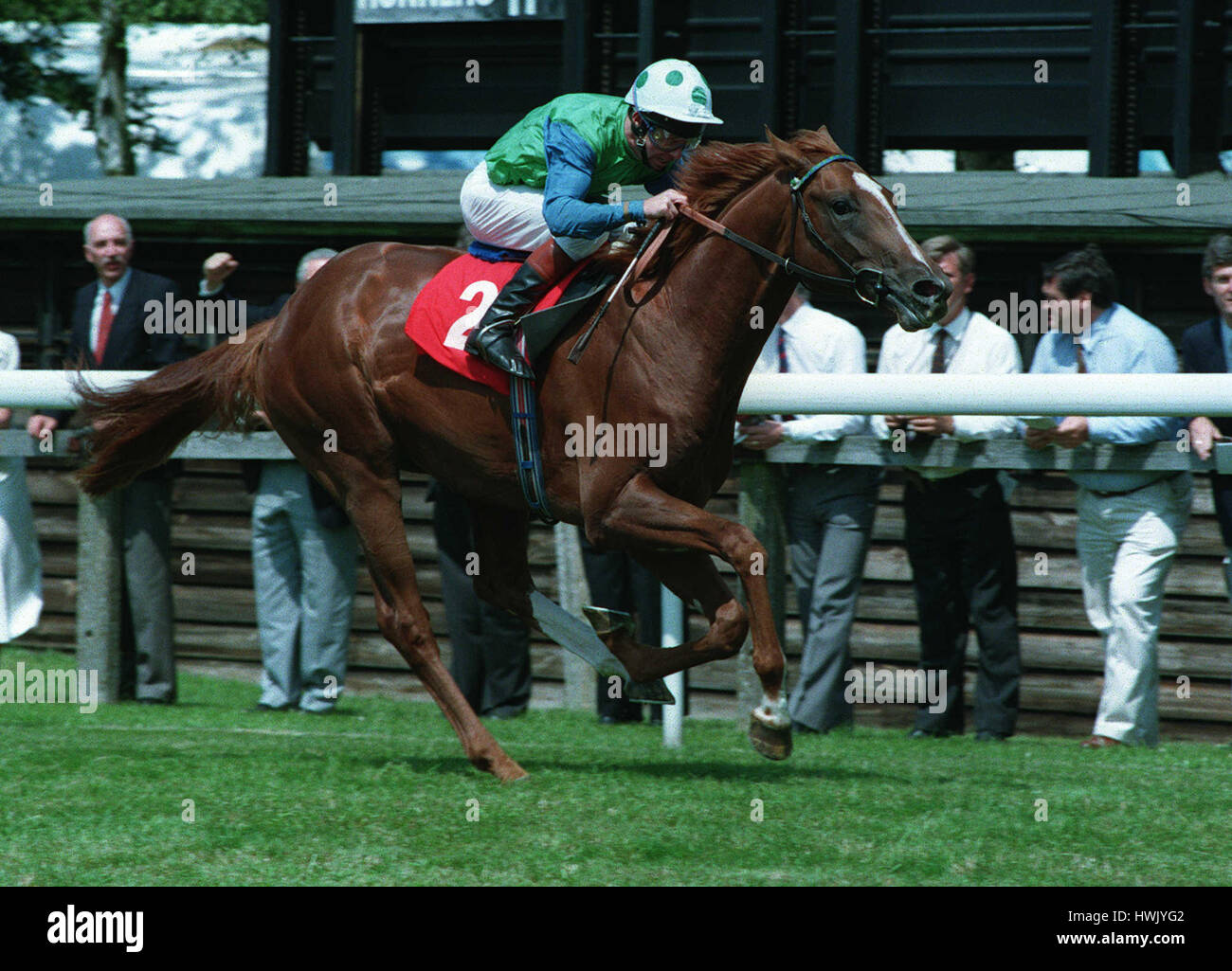 COLONEL COLLINS RIDDEN BY J REID 09 July 1993 Stock Photo - Alamy