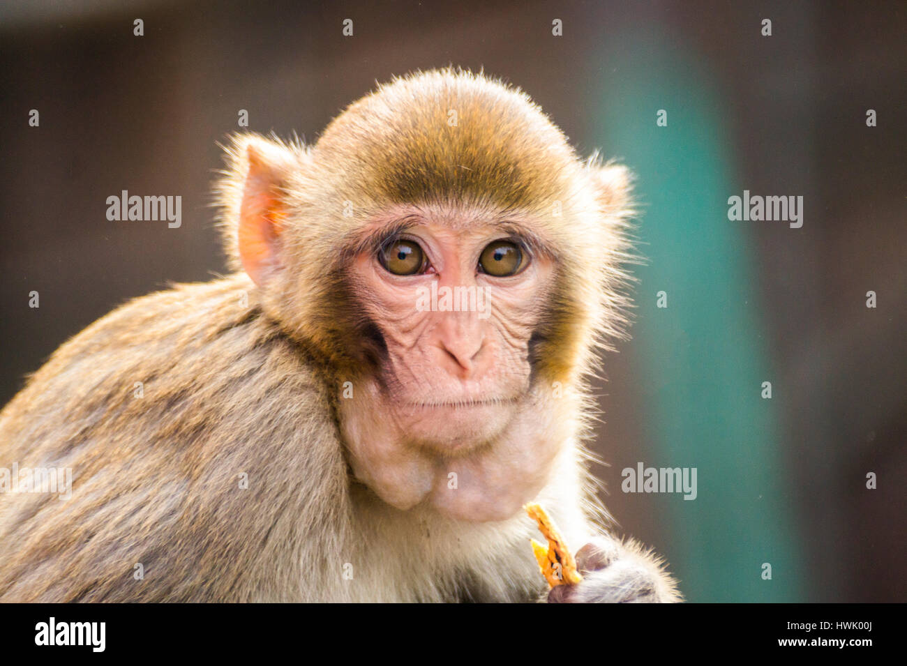 Yes, I am serious Stock Photo - Alamy