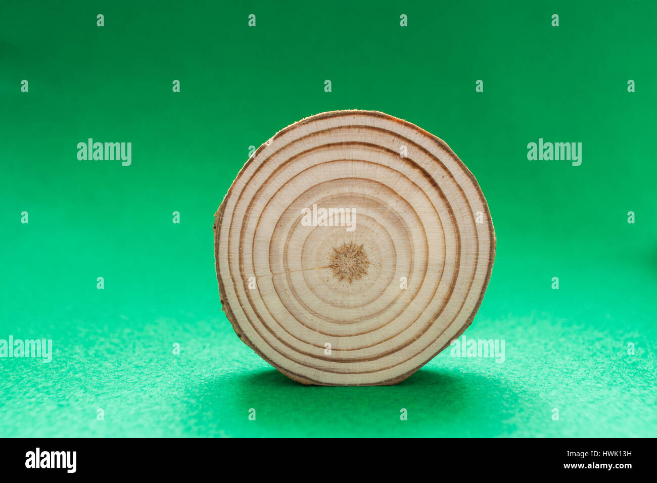 Transverse section tree hi-res stock photography and images - Alamy