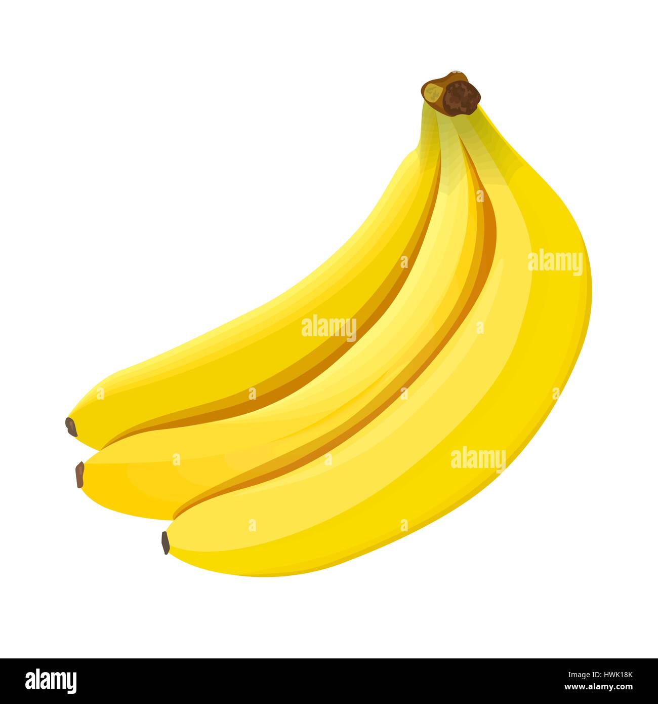 Raw bananas bunch on Stock Vector Images - Alamy