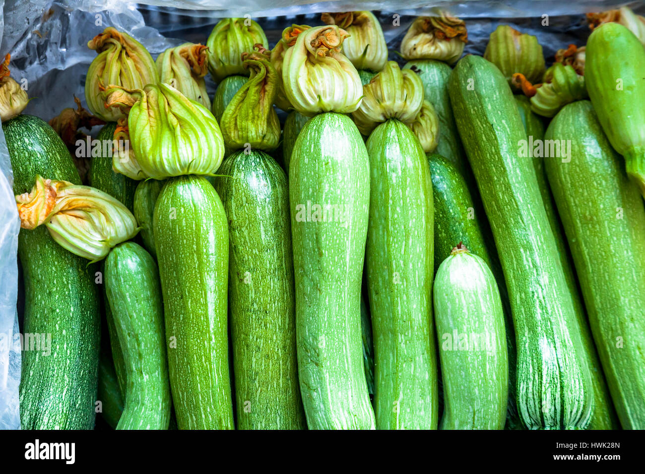 Several white zucchinies with a farm background Stock Photo - Alamy