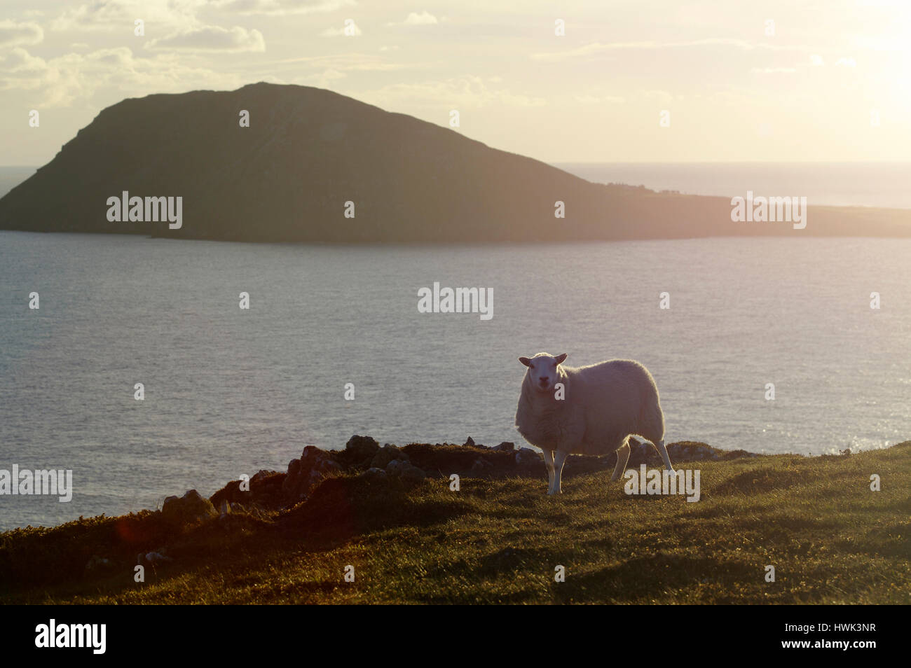 Llyn peninsula bardsey island hi-res stock photography and images - Alamy