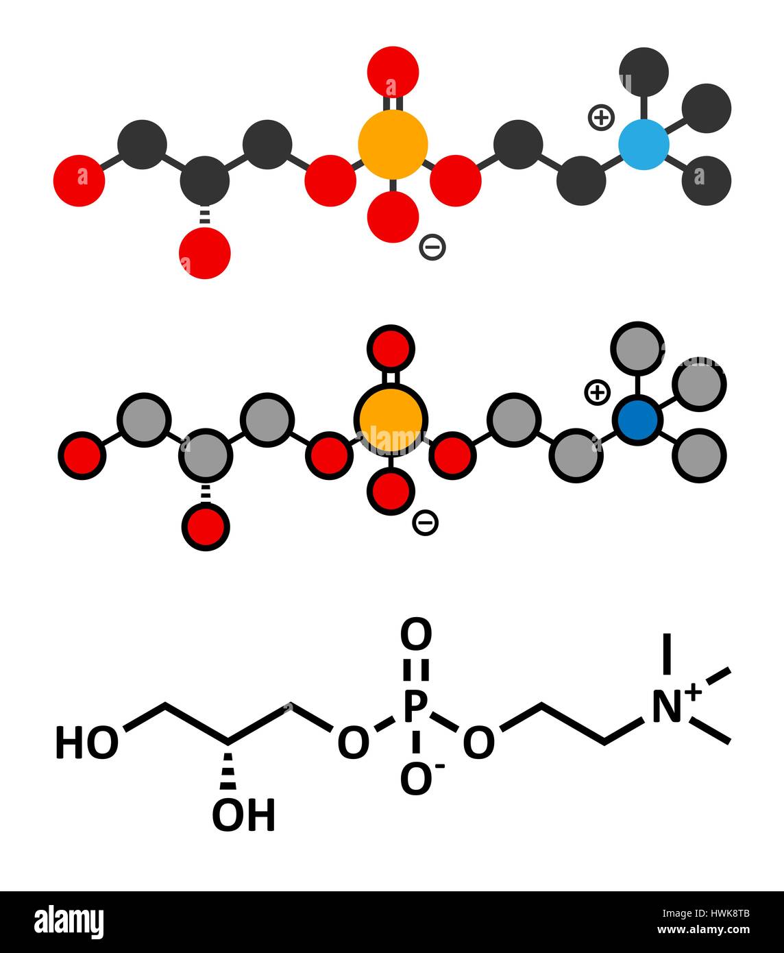 Molécule alpha gpc hi-res stock photography and images - Alamy