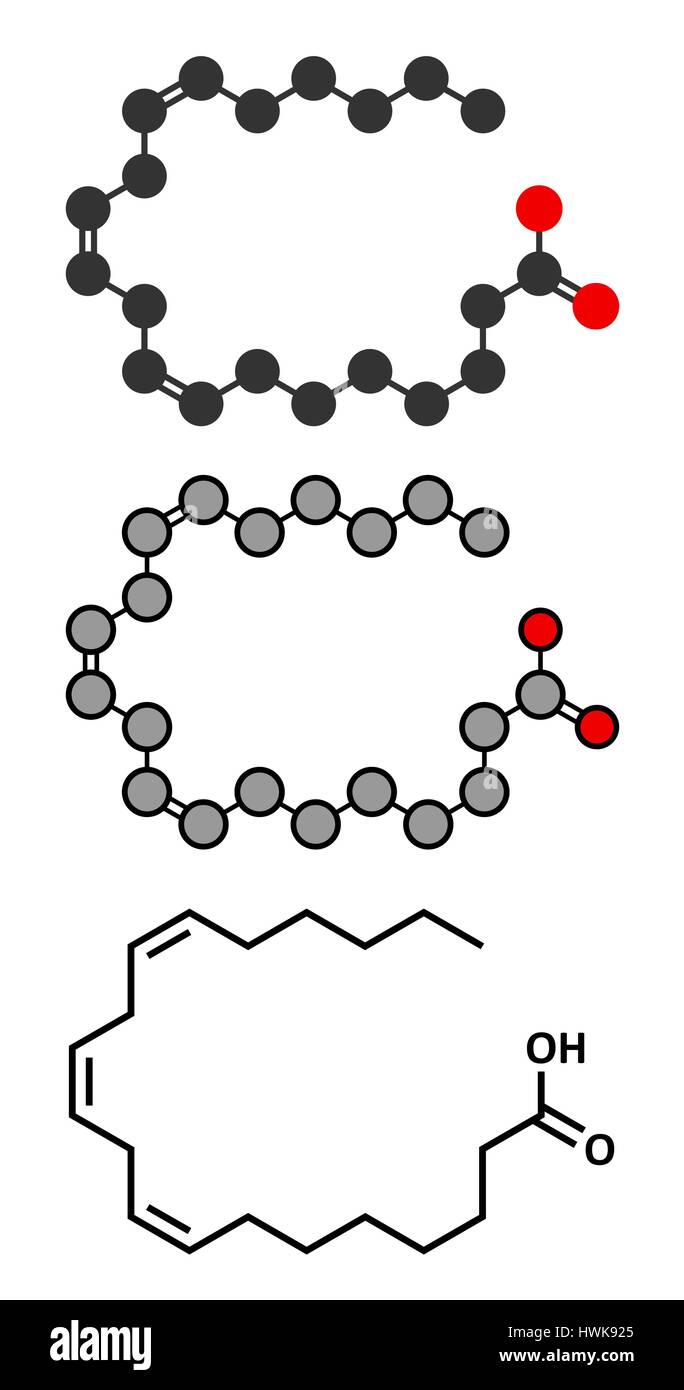 Dihomo-γ-linolenic acid (DGLA) fatty acid molecule. Stylized 2D ...