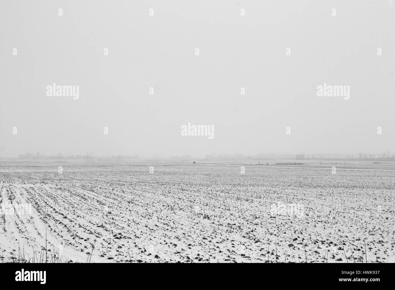 Wind farm in field Black and White Stock Photos & Images - Alamy