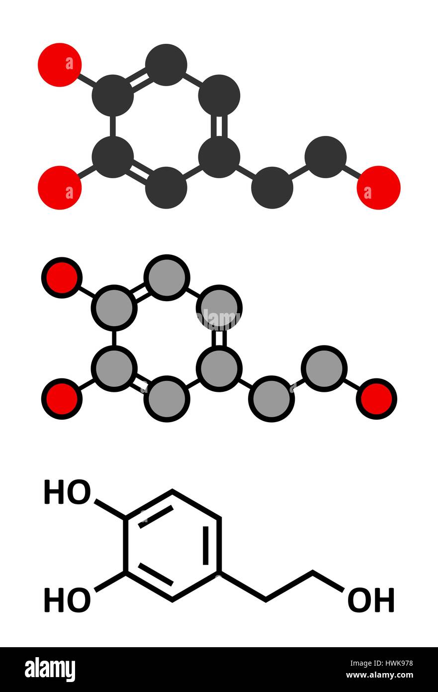 Hydroxytyrosol olive oil antioxidant molecule. Stylized 2D renderings ...