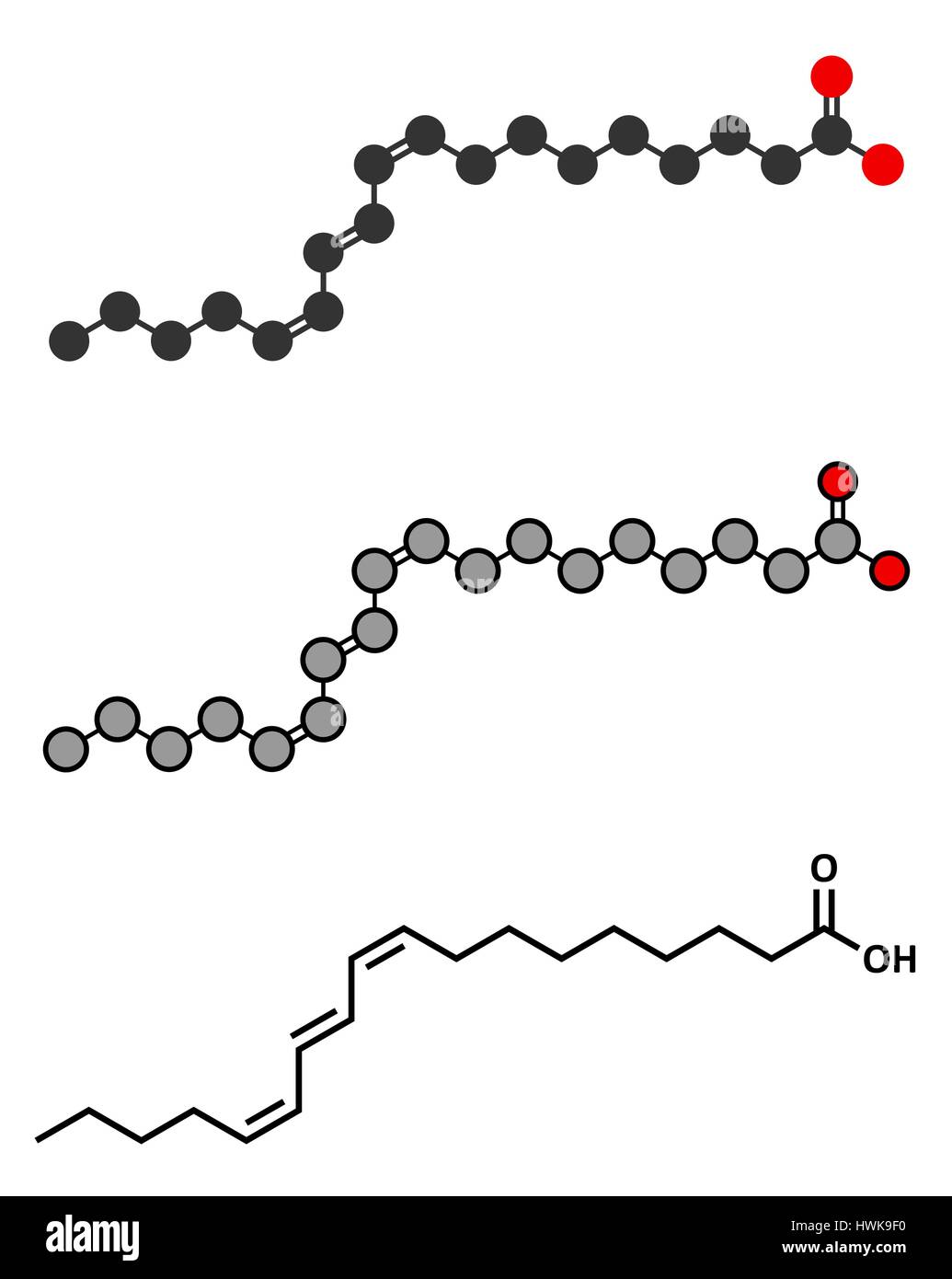 Punicic acid (trichosanic acid) molecule. Stylized 2D renderings and ...