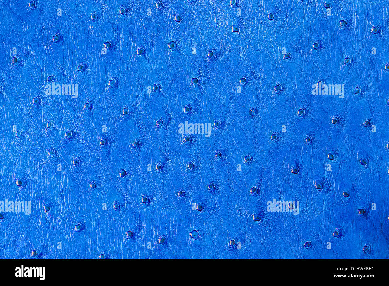 Texture of genuine Ostrich Stamped leather close-up, fashion, exotic ...