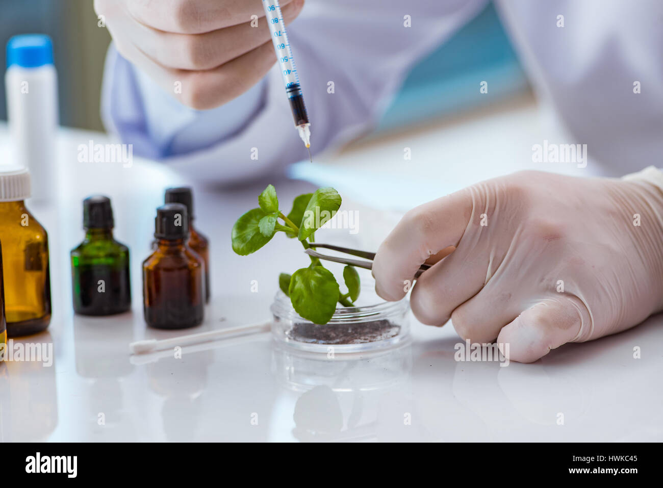 Biotechnology scientist working in the lab Stock Photo - Alamy