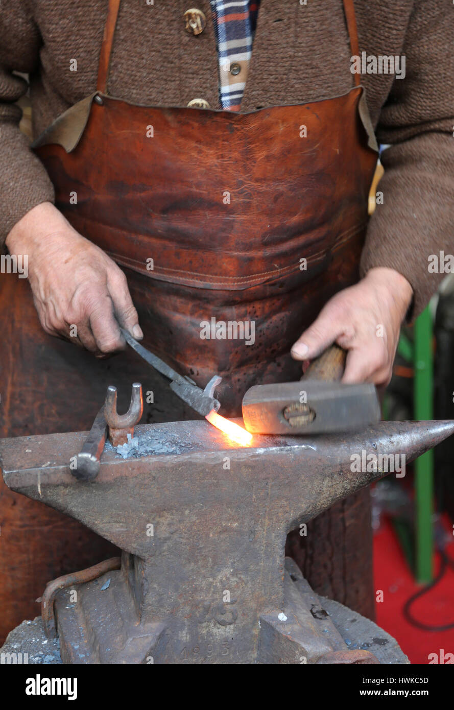 hands of an elderly blacksmith working iron with a hammer and the anvil ...