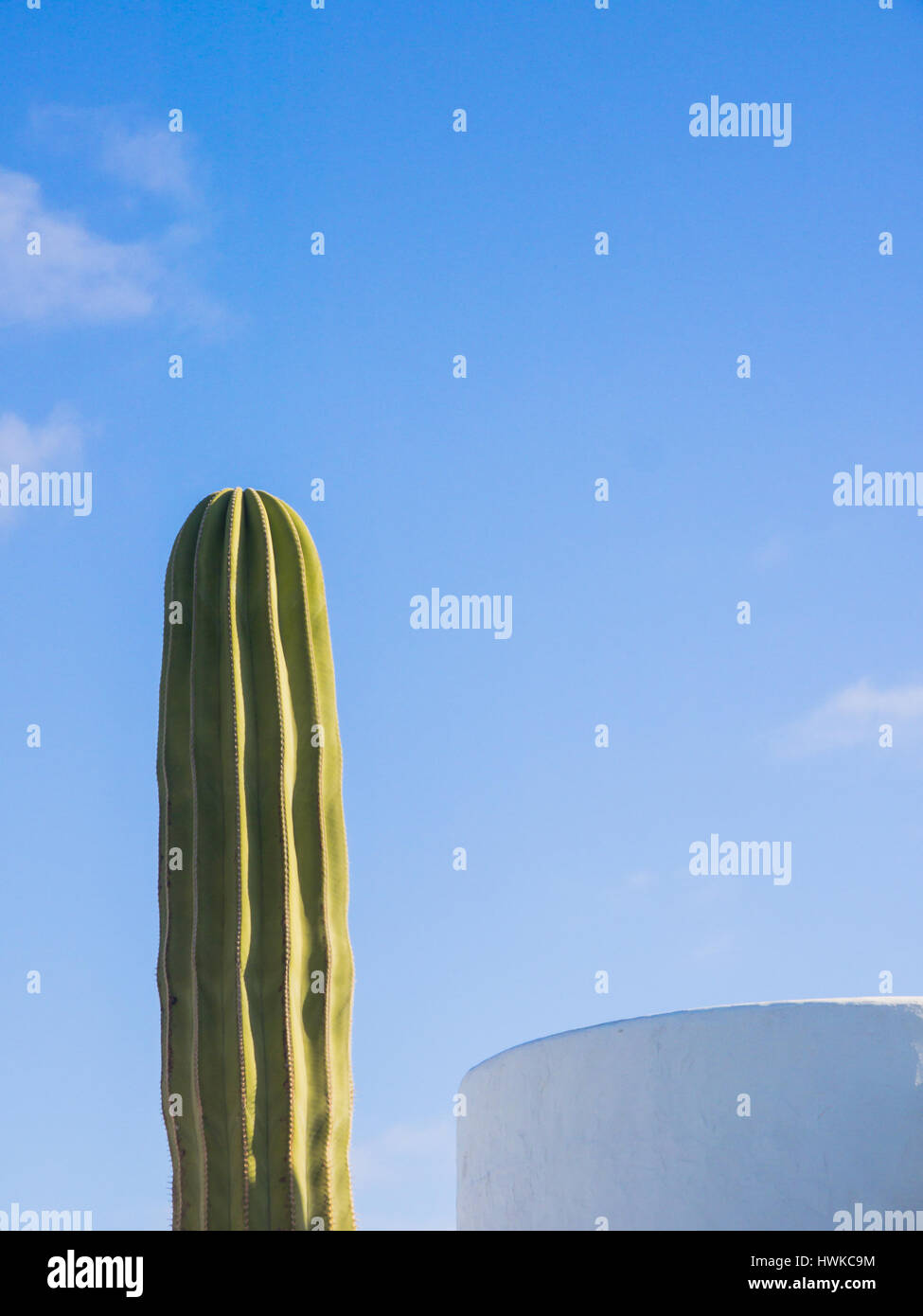 Minimalistic architecture cactus plants hi-res stock photography and ...