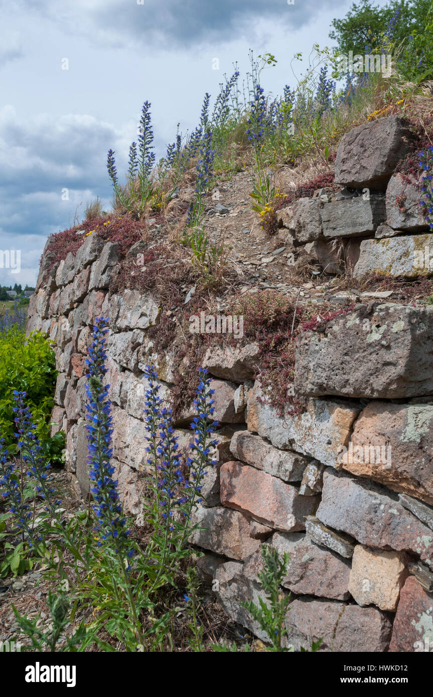 dry stone wall, bad muenster, nahe valley, middle-rhine valley ...