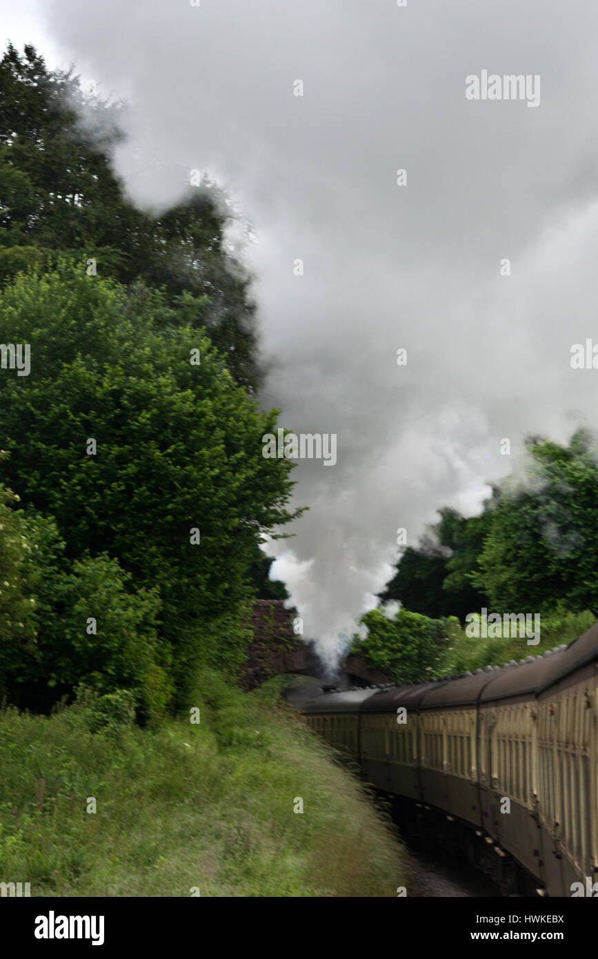 Locomotive 53808 in full steam pulling a train under a bridge on its ...