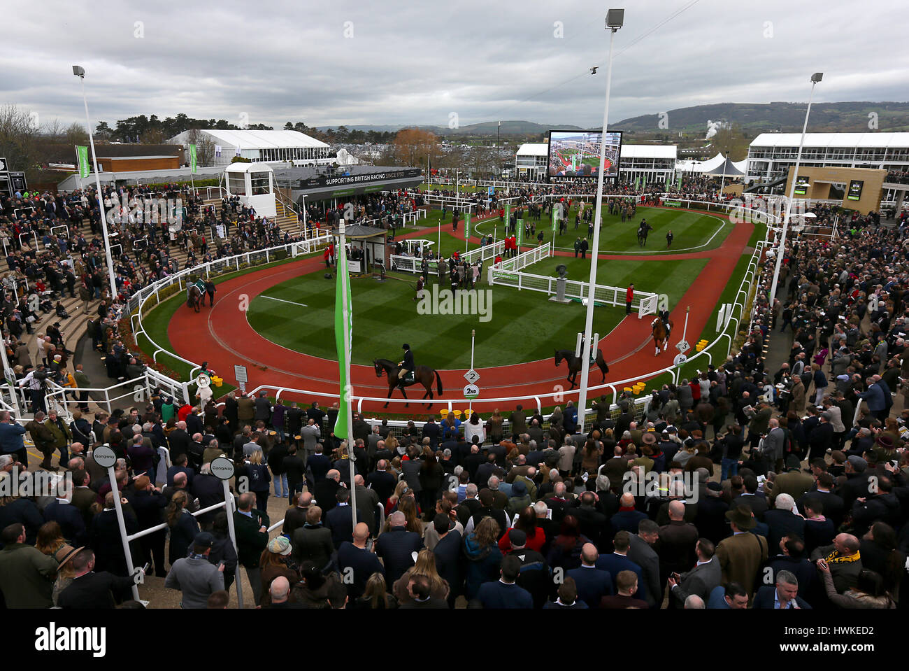 Racegoers in the parade ring at Cheltenham Racecourse Stock Photo - Alamy