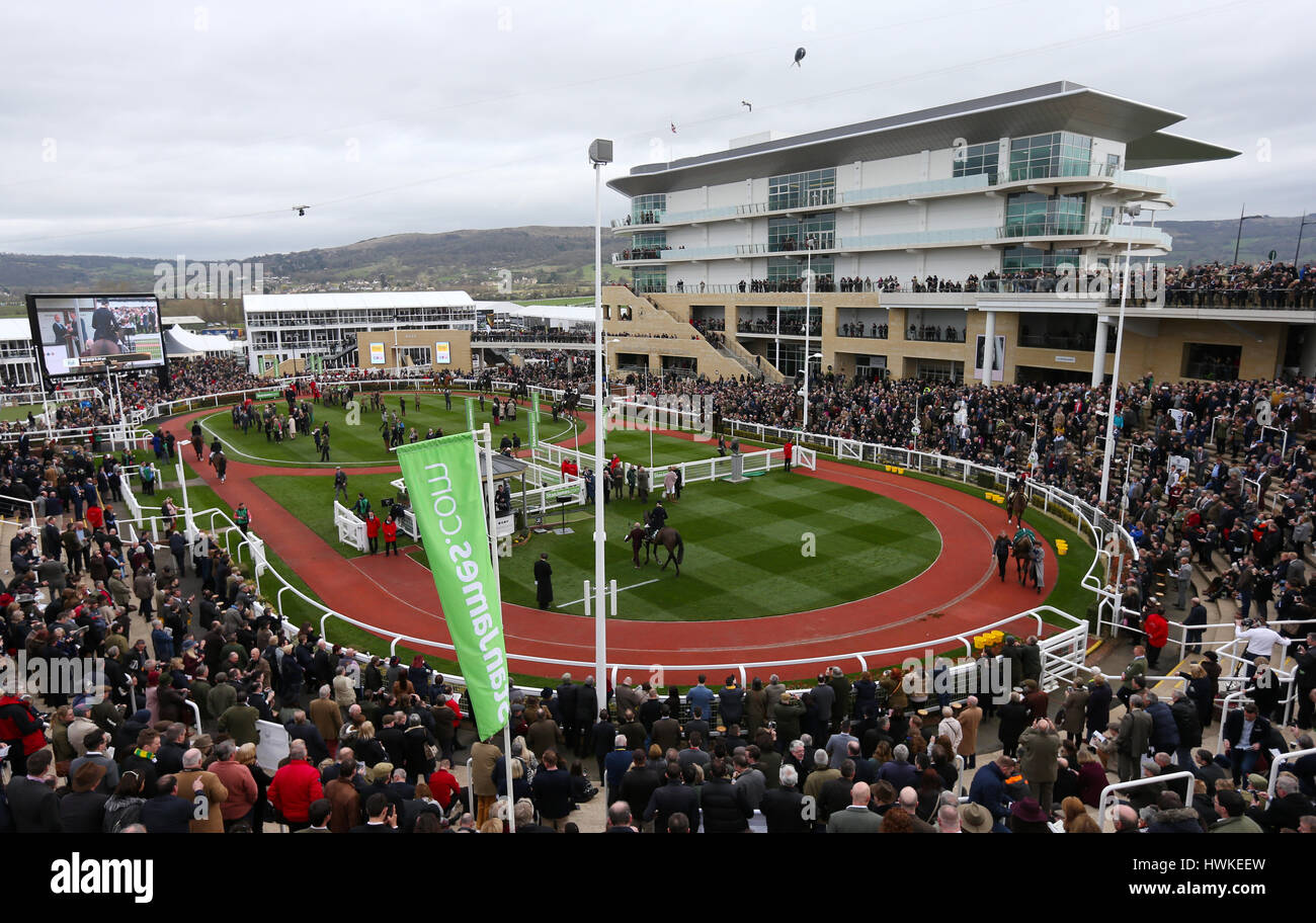 Cheltenham parade ring hi-res stock photography and images - Alamy